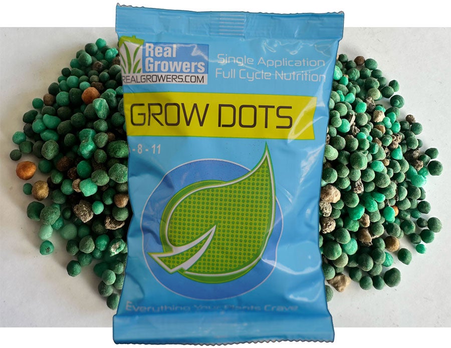 Grow Dots Classic | Green Temple